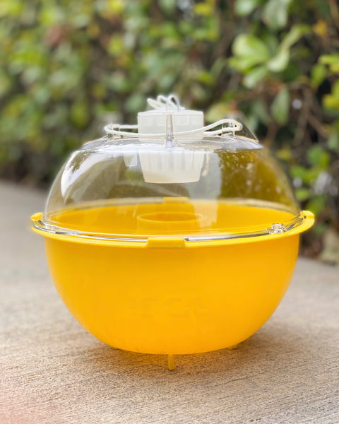 ISCA Ball Trap Yellow – ISCA Technologies